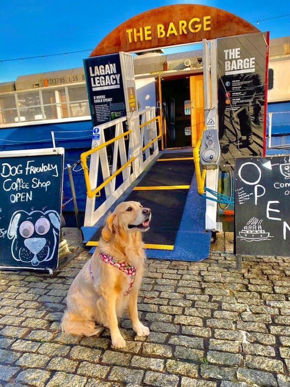 Belfast Barge: The quirky arts venue moored on the River Lagan - BBC News