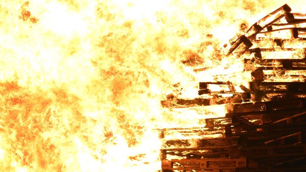 Missing cat 'set on fire' during Halloween say charity - BBC News