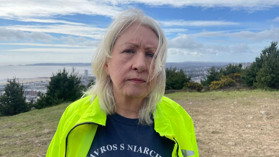 Swansea: Kilvey Hill project would 'trash' area, campaigner says - BBC News