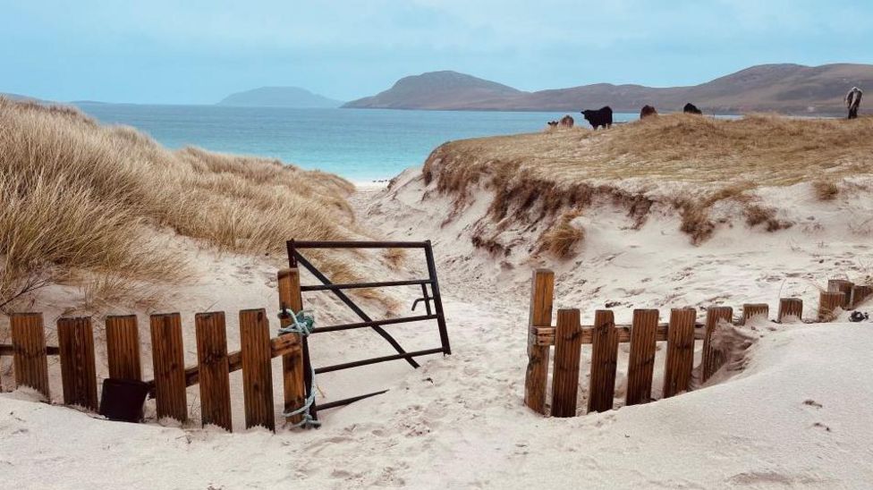 Your pictures of Scotland: Photographs from around the country - BBC News