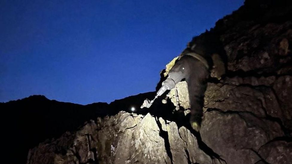 Amputee from Devon set to scale France's highest mountain - BBC News