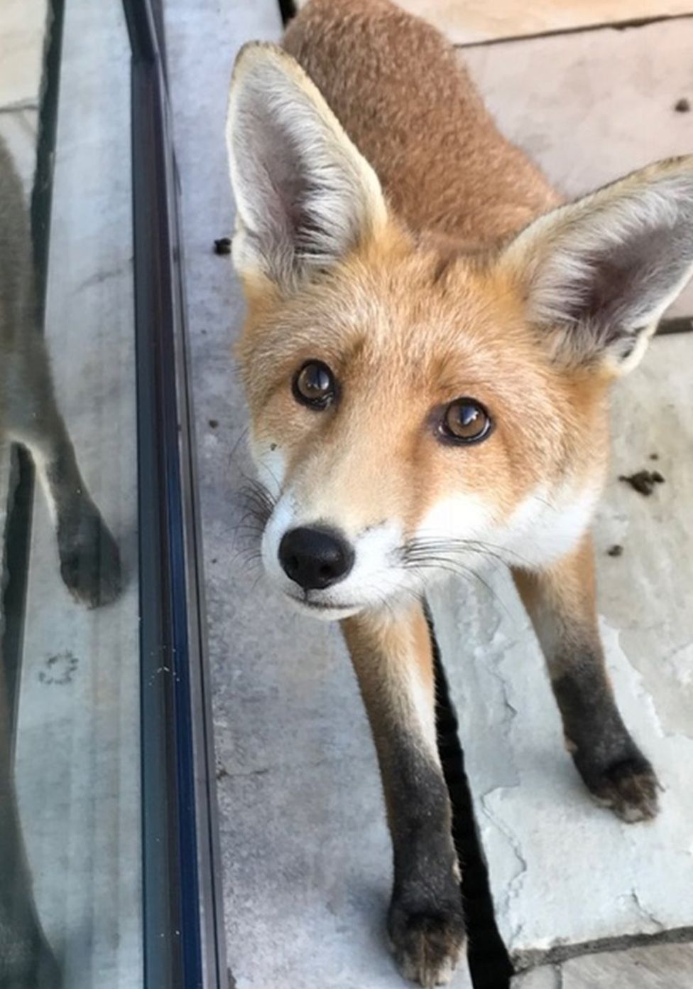 Your pictures of Scotland: 7 - 14 September - BBC News