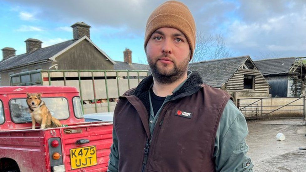 Cynnydd sylweddol i incwm ffermwyr yng Nghymru - BBC Cymru Fyw