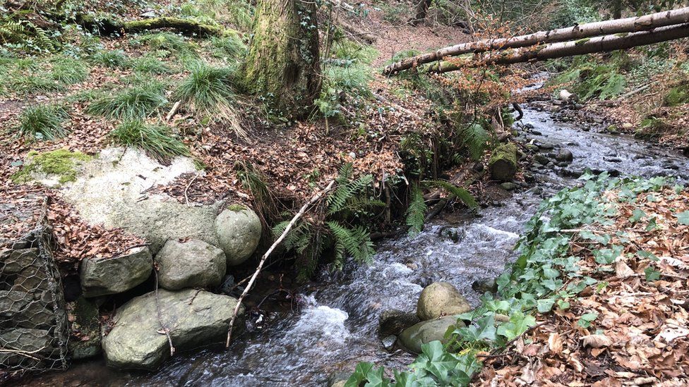 Woods near Inverness city centre taken over by charity - BBC News