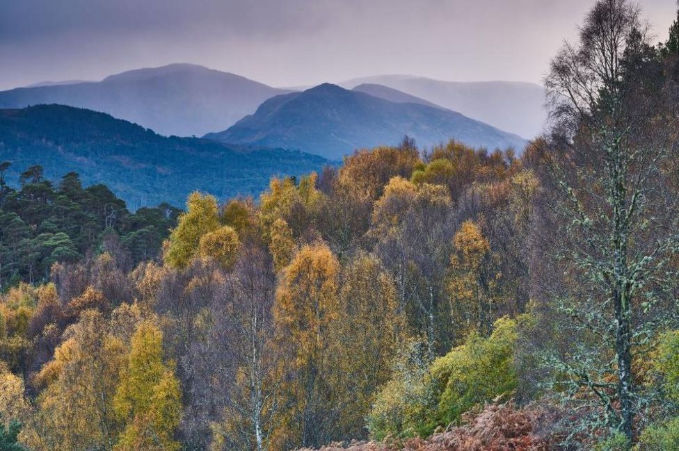 Battle over broadband 'not spots' in Scotland's wild places - BBC News