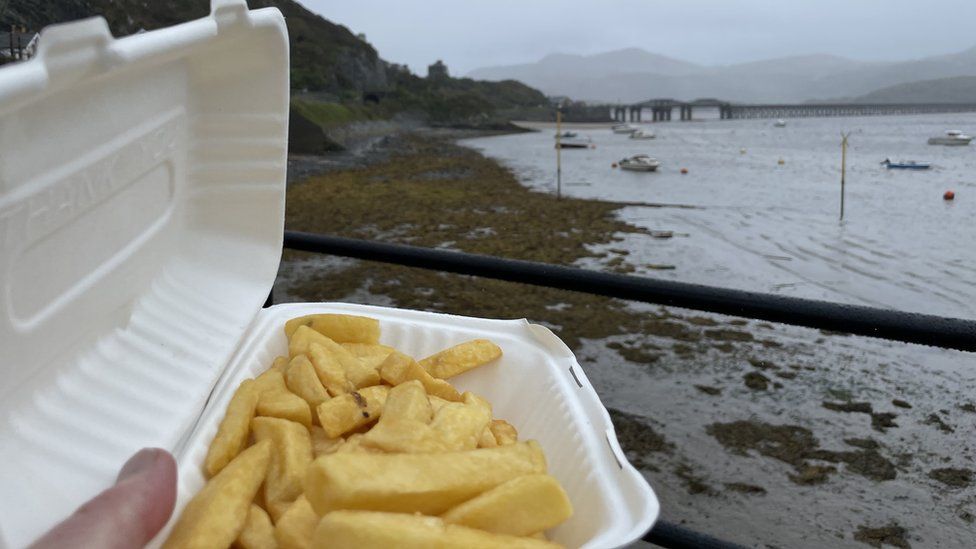 I le mae gwylanod Y Bermo wedi mynd? - BBC Cymru Fyw