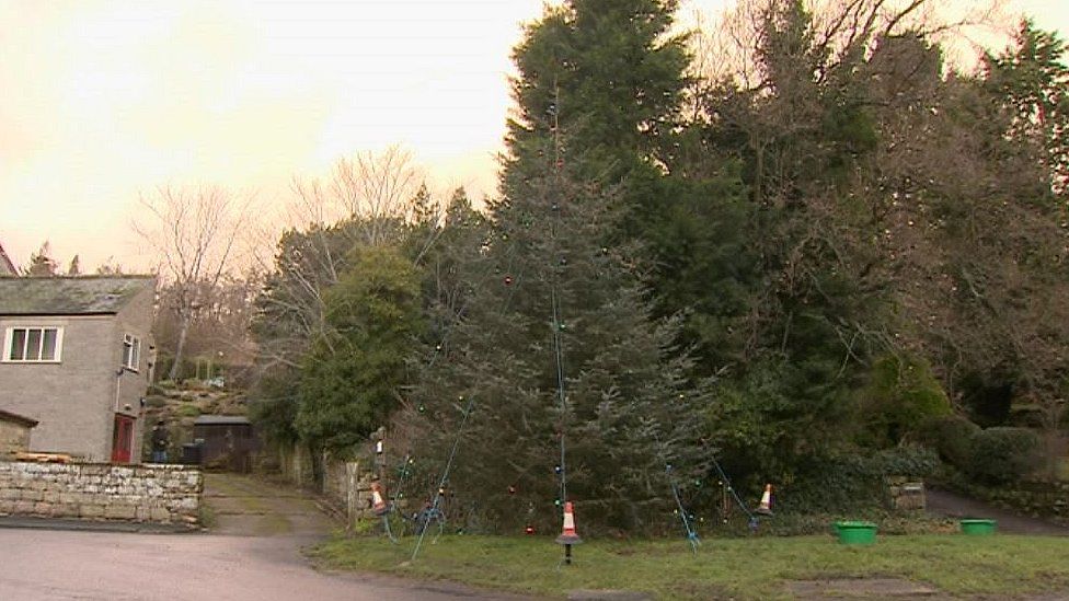 Forestry bosses 'Scrooge-like' over 'free' Christmas tree denial - BBC News