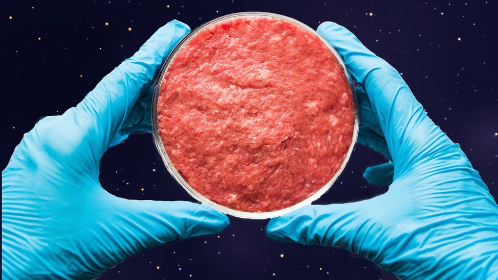 Lab-grown meat made on International Space Station for the first time ...