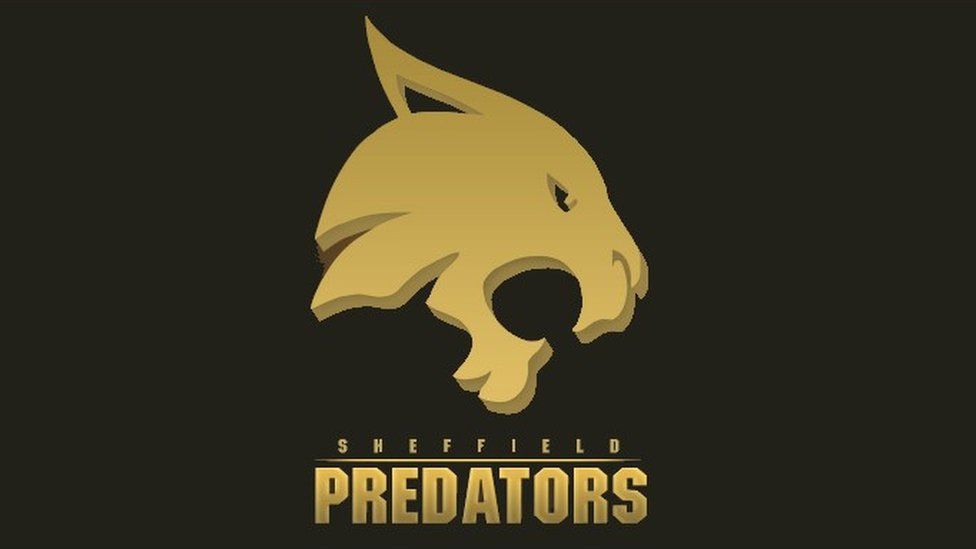 'Negative' Sheffield Predators team name changed - BBC News