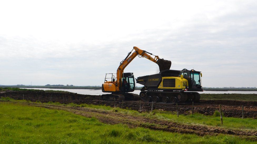 Part of sea wall removed to help Northey Island saltmarsh - BBC News