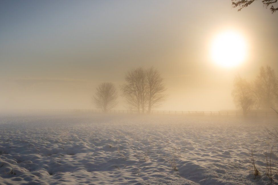 England's Big Picture: 18 - 24 January - BBC News