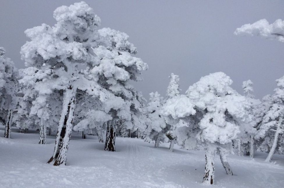 Your pictures: Cold weather - BBC News