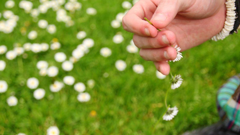 Play 'daisy chains' instead, says council parks cut report - BBC News