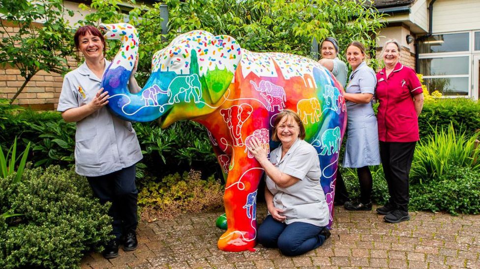 Elephant sculpture trail across Leicester for LOROS Hospice birthday ...
