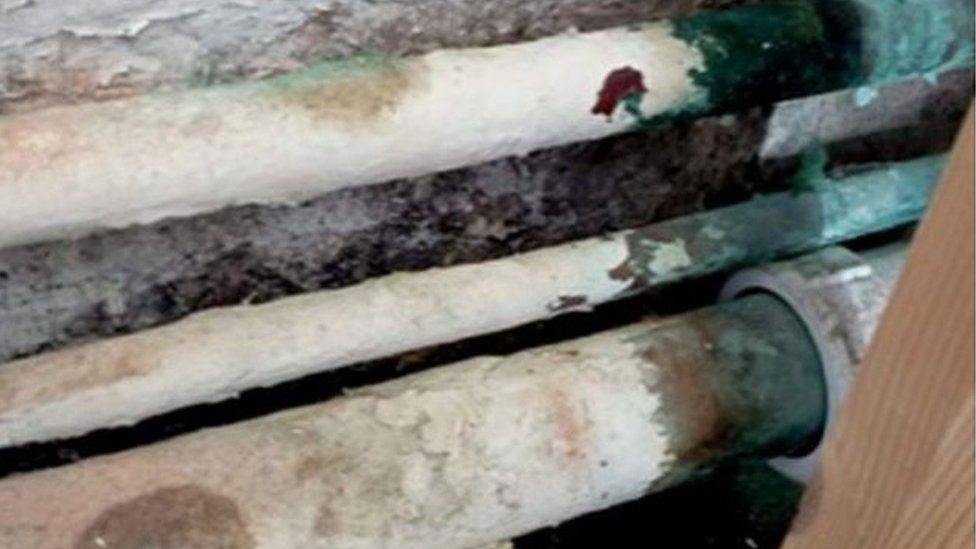 Damp housing affected girl with cystic fibrosis, doctor claims - BBC News