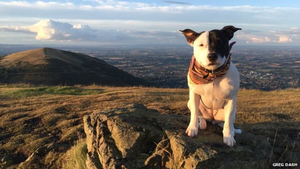 England's Big Picture: 24-30 August 2015 - BBC News