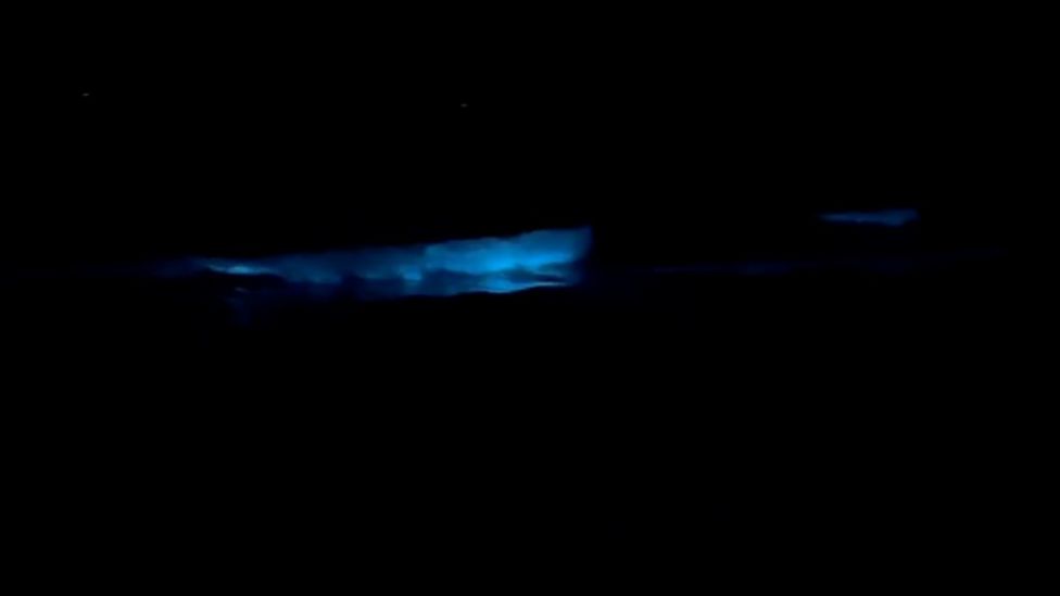 Bioluminescent plankton: 'It's the northern lights of the ocean' - BBC News