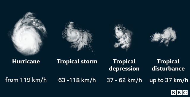 Hurricanes: A guide to the world's deadliest storms - BBC News