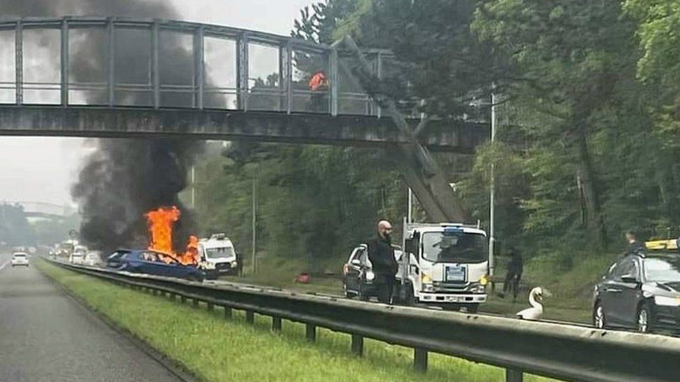 Mudeford RNLI volunteers save Swan caught in fishing line - BBC News
