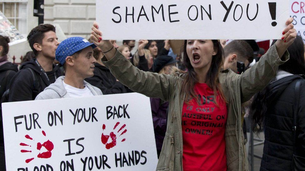 Fur sales: MPs call for consultation to ban real fur - BBC News