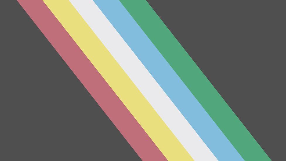 What is Disability Pride Month? - BBC Newsround
