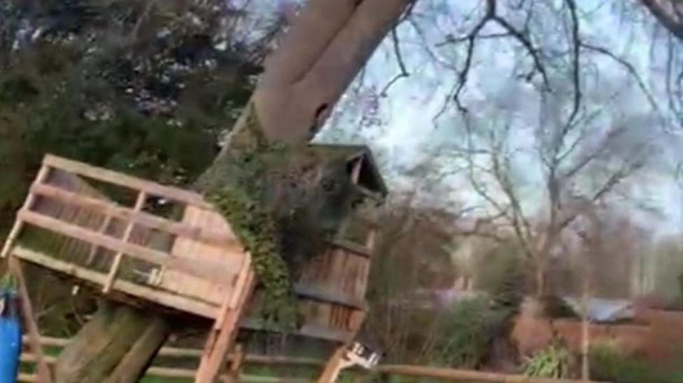 Daughter's 'dream' Grimsby treehouse saved from demolition - BBC News