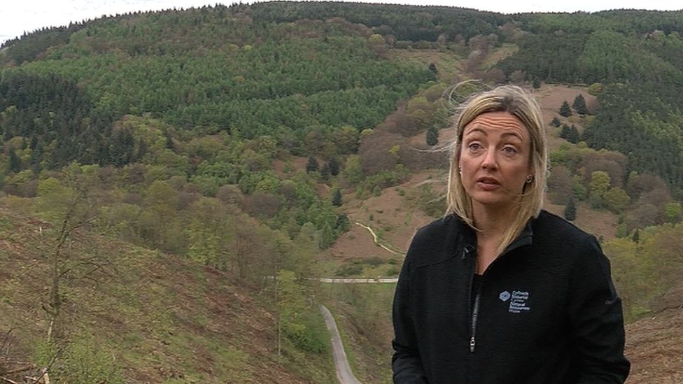 Petition calls for Cwmcarn Forest Drive to reopen - BBC News