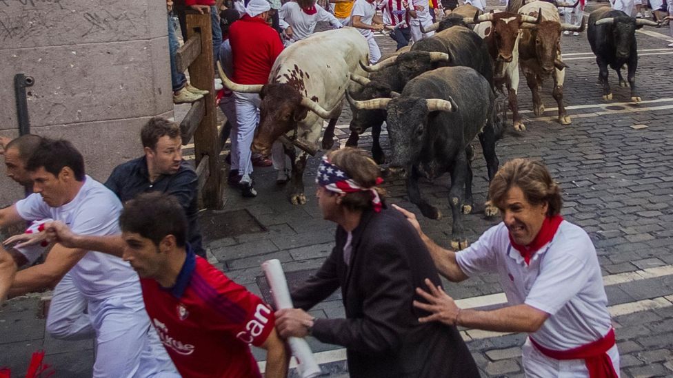 Bull kills French woman at Aigues-Mortes festival race - BBC News