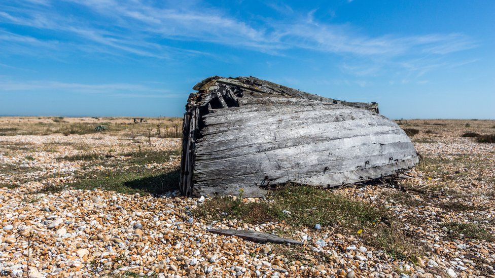 Dungeness beach: 'Britain's only desert' bought by EDF - BBC News