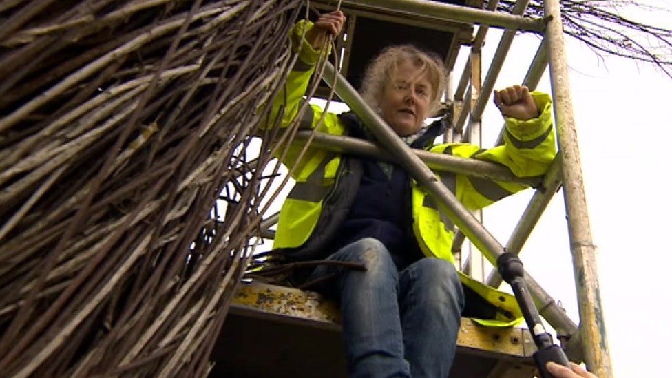 Repairs under way to Somerset's M5 Willow Man landmark - BBC News