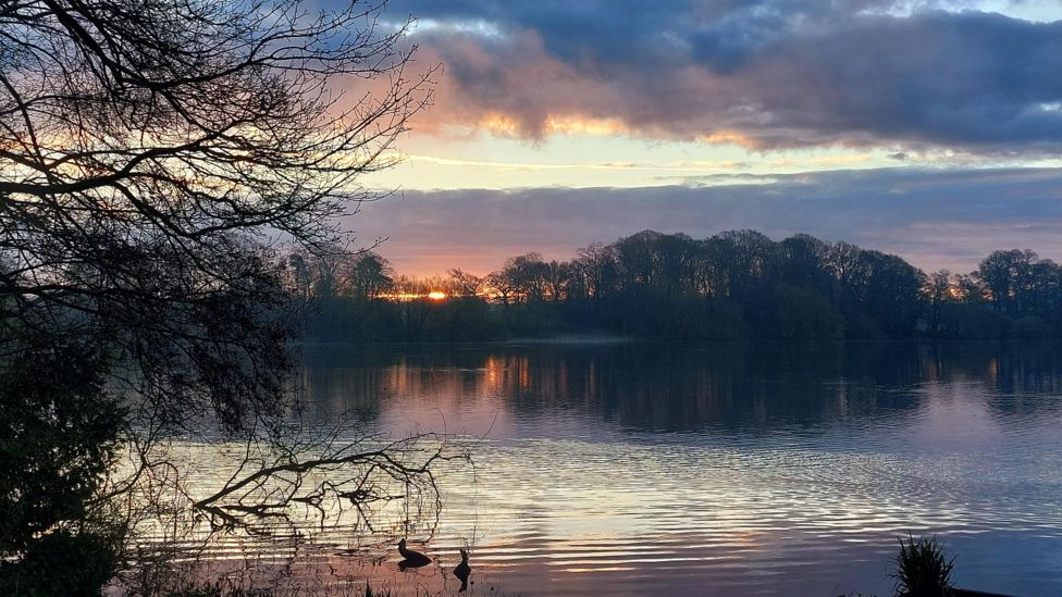 Your pictures across the West Midlands - BBC News