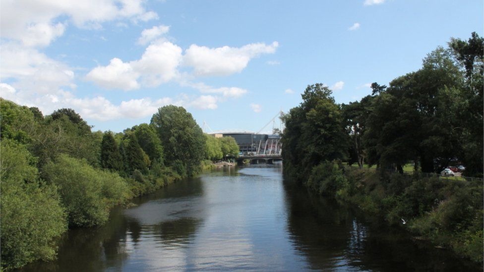 Cardiff rivers: 'Pollution' in Ely, Taff and Rhymney - BBC News