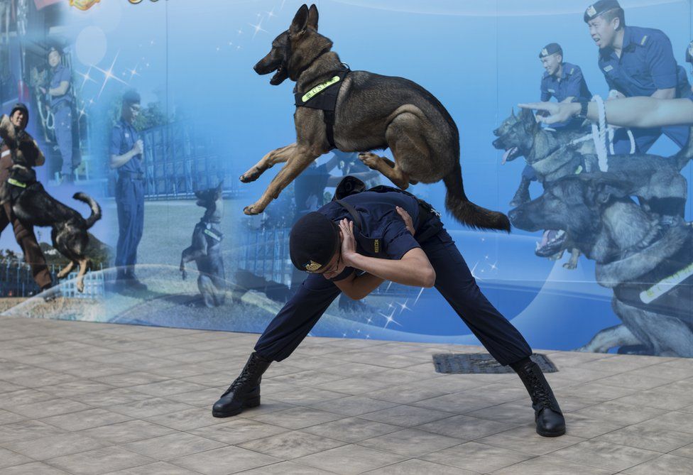 Week in pictures: 24 February - 2 March 2018 - BBC News