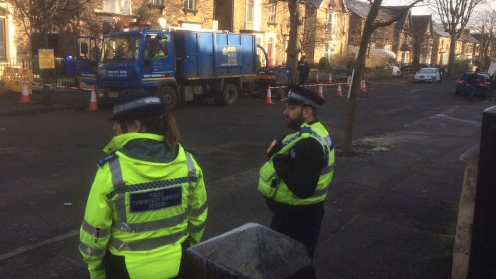 Green Party councillor arrested in Sheffield tree protest - BBC News