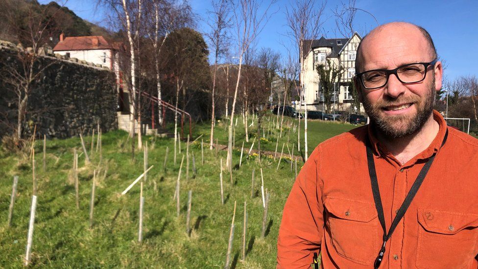 Pryder am nifer cynyddol o eifr yn mentro i Landudno - BBC Cymru Fyw