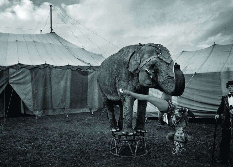 Exhibition takes peek behind the scenes of the circus - BBC News