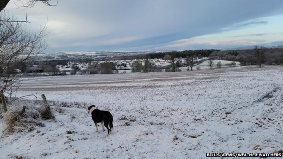 Gallery: Weather Watchers Snow Snaps on 2 March - BBC Weather