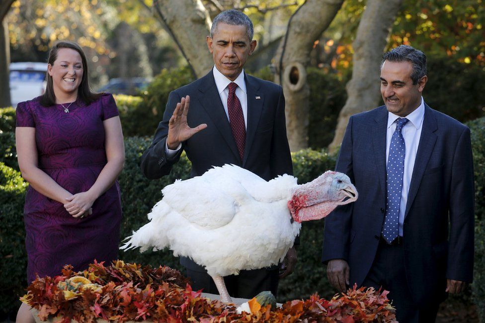 Week in pictures: 21-27 November 2015 - BBC News