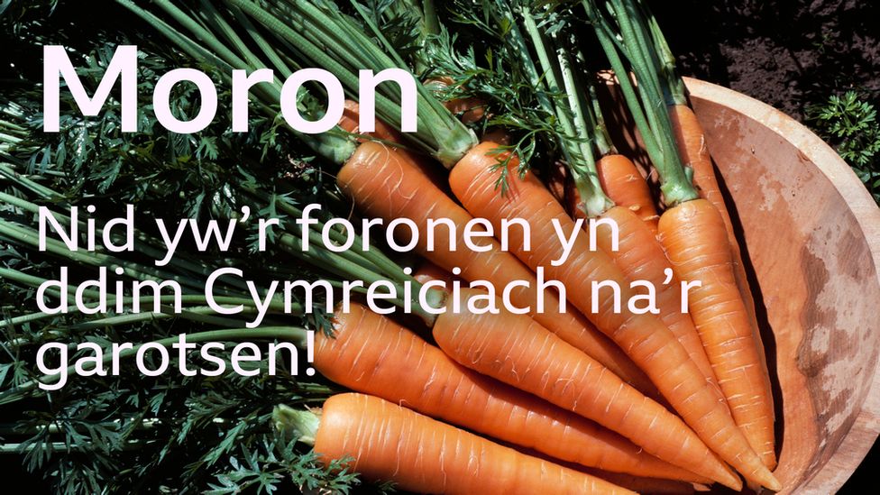 Y Nadolig mewn pump gair - BBC Cymru Fyw