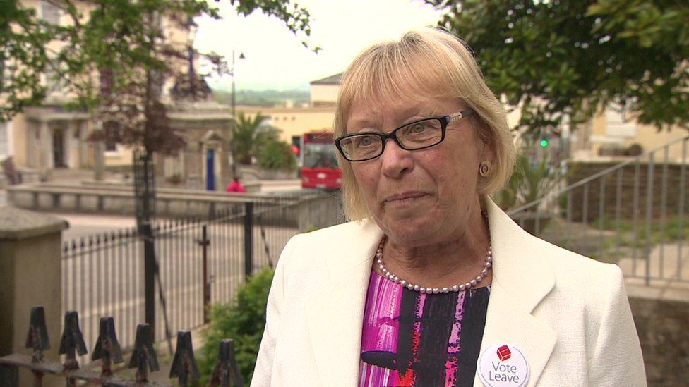 Eurosceptics 'racist' says tourist boss Tim Smit - BBC News