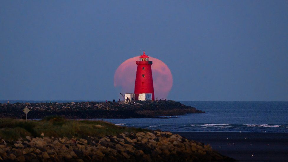 Hunter's Moon: Amazing pictures - BBC Newsround