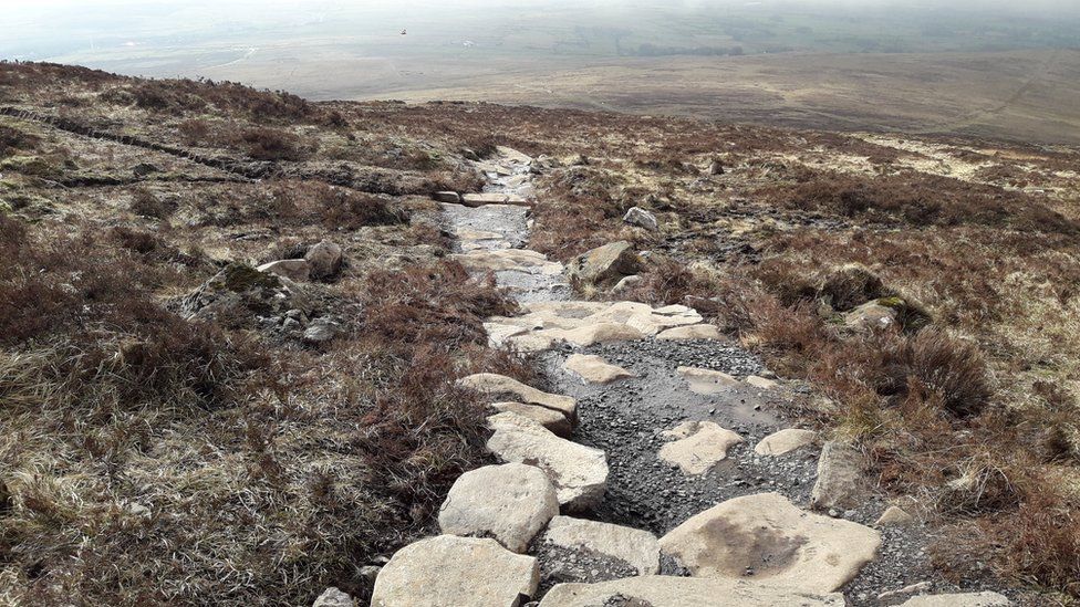 Divis Mountain: National Trust urge walkers to stick to paths at beauty ...