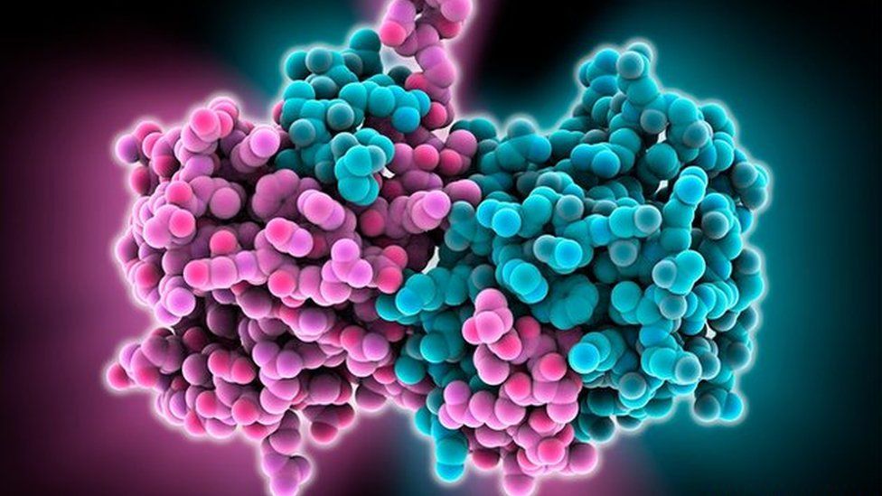 Ebola global response was 'too slow', say health experts - BBC News