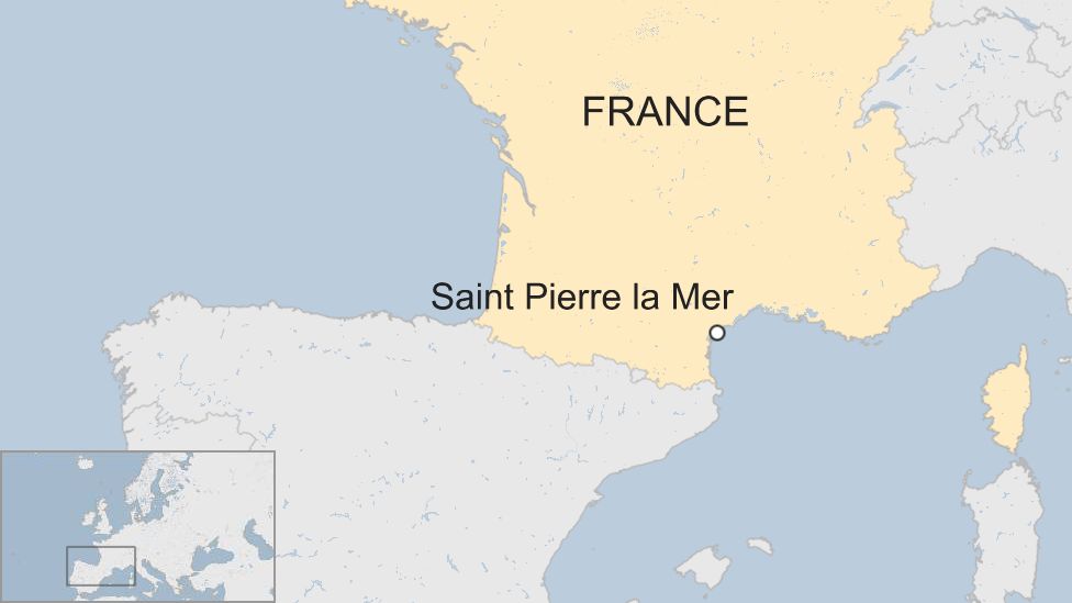 Two hundred cats poisoned inside month in French village - BBC News