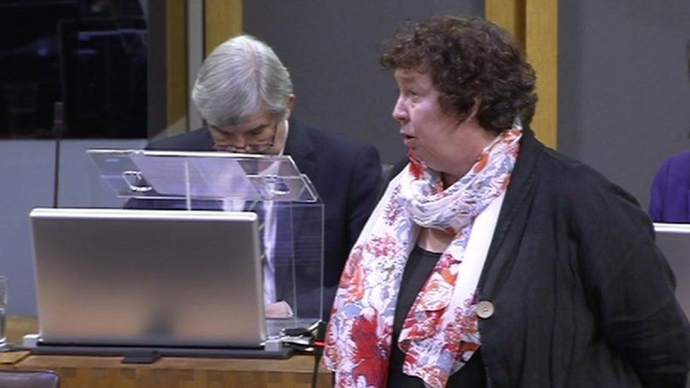 Helen Mary Jones yn ymddiheuro am rannu neges 'trawsffobig' - BBC Cymru Fyw