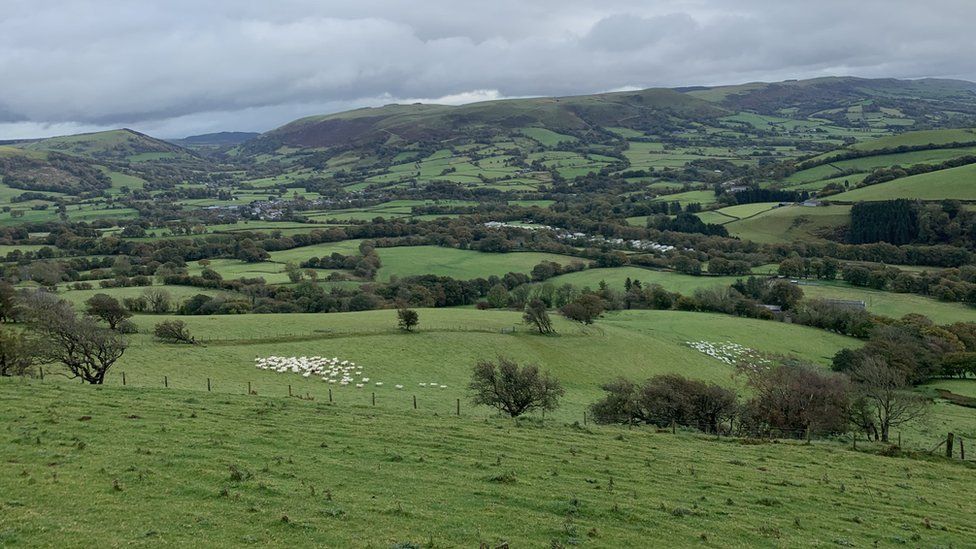 Lle i enaid gael llonydd: Aled Wyn Davies - BBC Cymru Fyw