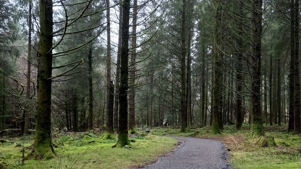 More than £60,000 to make Dartmoor more accessible - BBC News