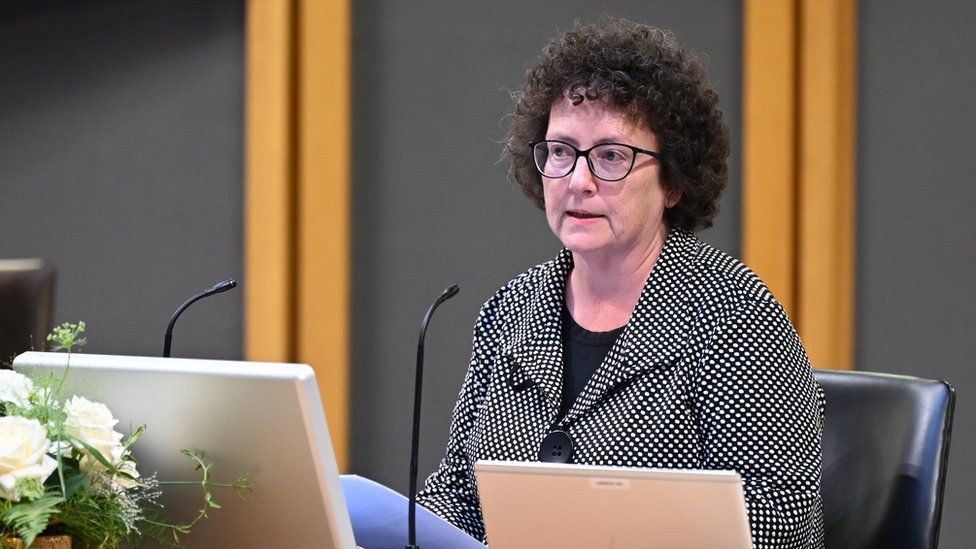 Elin Jones: Gwahardd GB News yn y Senedd i 'warchod staff' - BBC Cymru Fyw