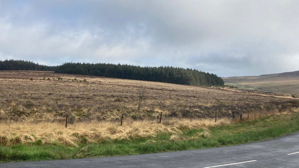 Unlocking the secrets of life on the peatlands - BBC News
