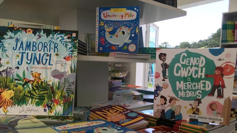 Cynlluniau hybu darllen yn hanfodol i siopau llyfrau - BBC Cymru Fyw
